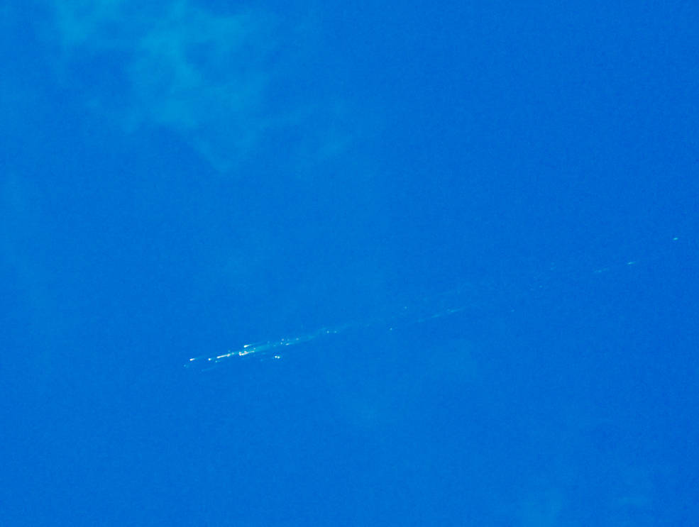 Orbiting Geophysics Observatory 1 (OGO-1) - Alpha Centauri