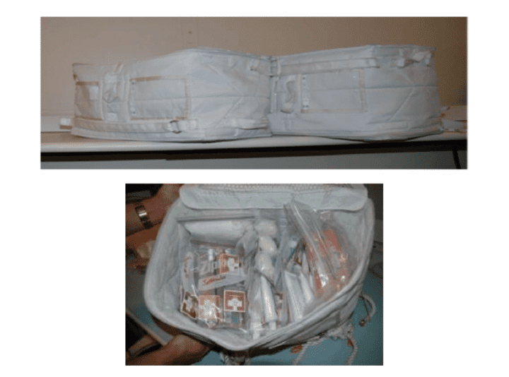 NASA Challenge: Moon Movers - Alpha Centauri